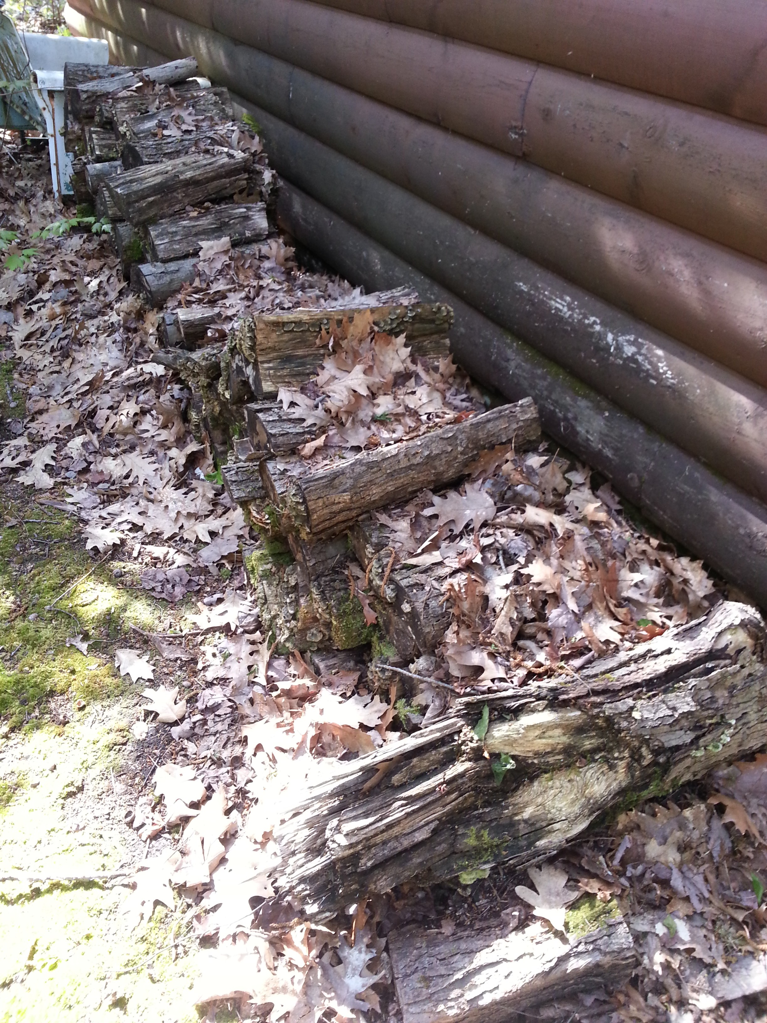 Spring Pest Control Tips and Advice for the Muskoka Cottager - Muskoka ... Spring Pest Control Tips and Advice for the Muskoka Cottager - Muskoka ...