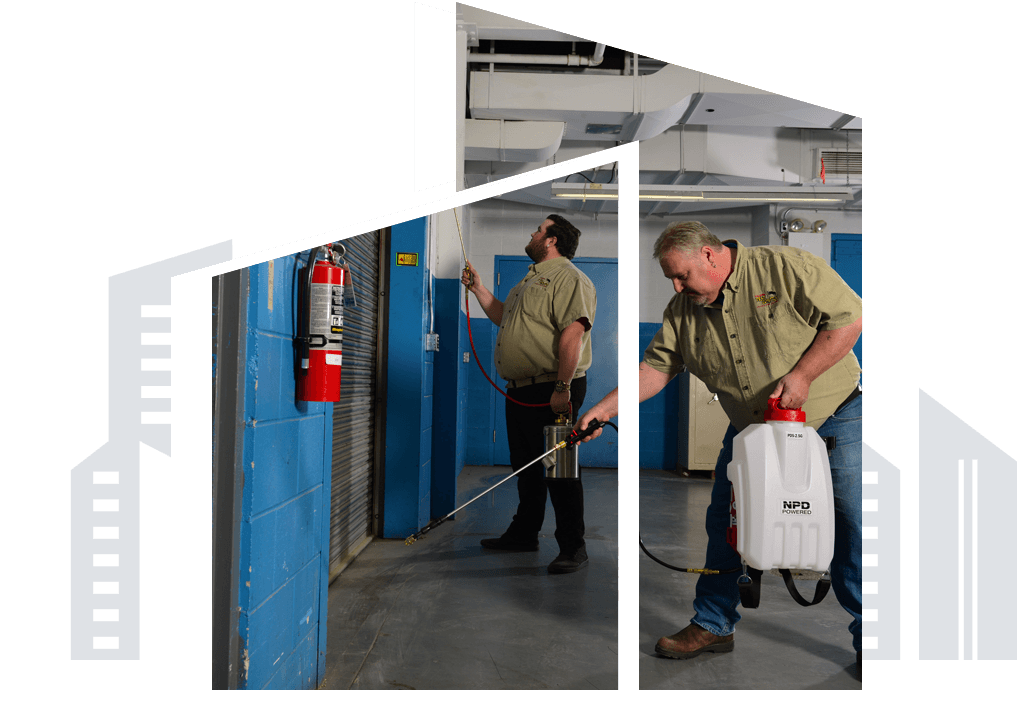 Muskoka Pest Control Muskoka Pest Control