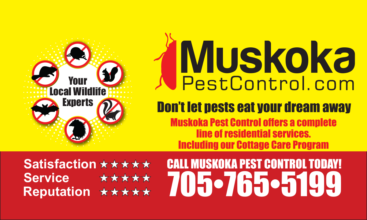Muskoka Pest Control Muskoka Pest Control